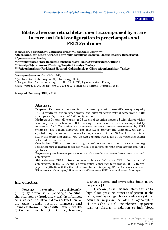 (PDF) Bilateral serous retinal detachment accompanied by a rare ...