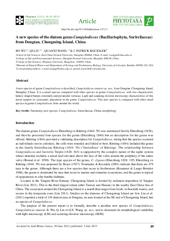 (PDF) A new species of the diatom genus Campylodiscus (Bacillariophyta ...