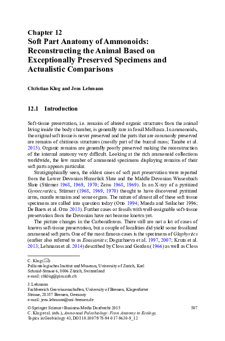 (PDF) Soft Part Anatomy of Ammonoids: Reconstructing the Animal Based ...