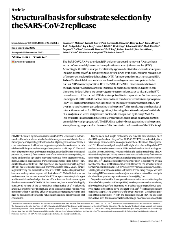 (PDF) Structural basis for substrate selection by the SARS-CoV-2 replicase