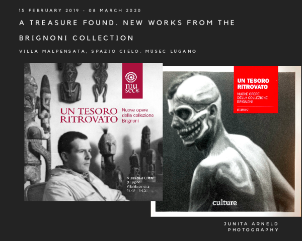 (PDF) Silent Forms: Photographing Brignoni's Rediscovered Art Collection