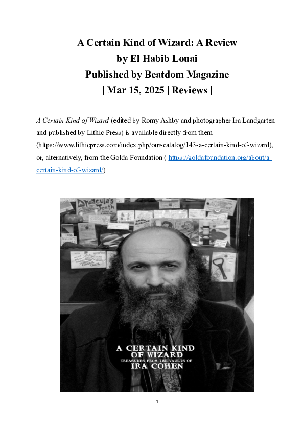 (PDF) A Certain Kind of Wizard: A Review