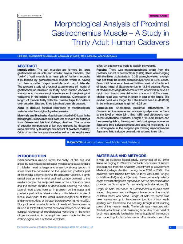 (PDF) Morphological Analysis of Proximal Gastrocnemius Muscle – A Study in Thirty Adult Human ...