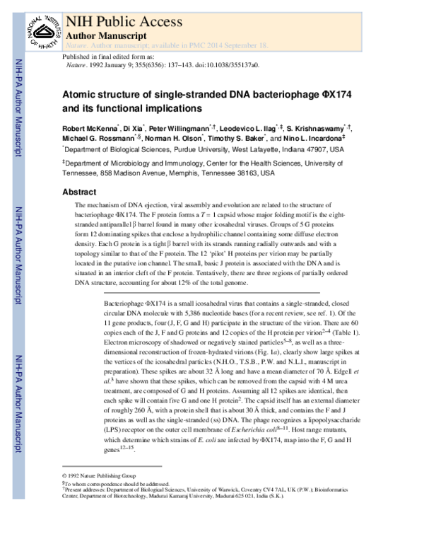 (PDF) Atomic structure of single-stranded DNA bacteriophage ΦX174 and ...