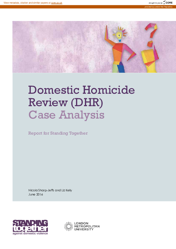 (PDF) Domestic homicide review (DHR) : case analysis