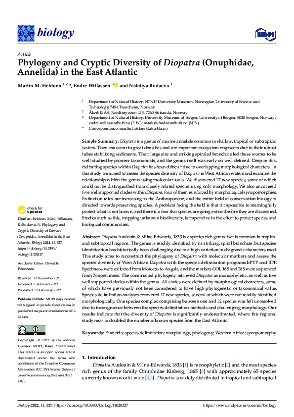 (PDF) Phylogeny and Cryptic Diversity of Diopatra (Onuphidae, Annelida ...