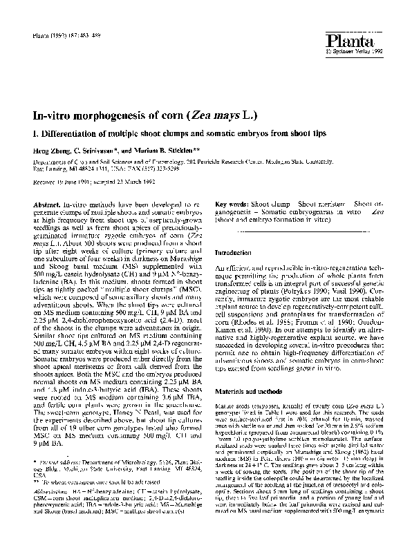 (PDF) In-vitro morphogenesis of corn (Zea mays L.)