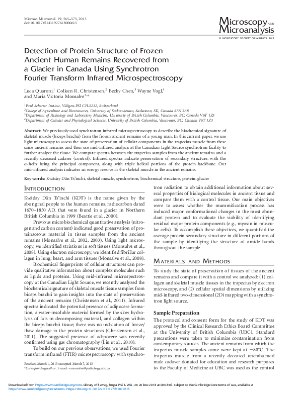 (PDF) Detection of Protein Structure of Frozen Ancient Human Remains ...