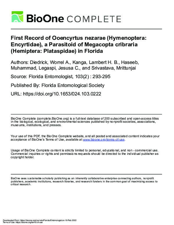 (PDF) First Record of Ooencyrtus nezarae (Hymenoptera: Encyrtidae), a ...