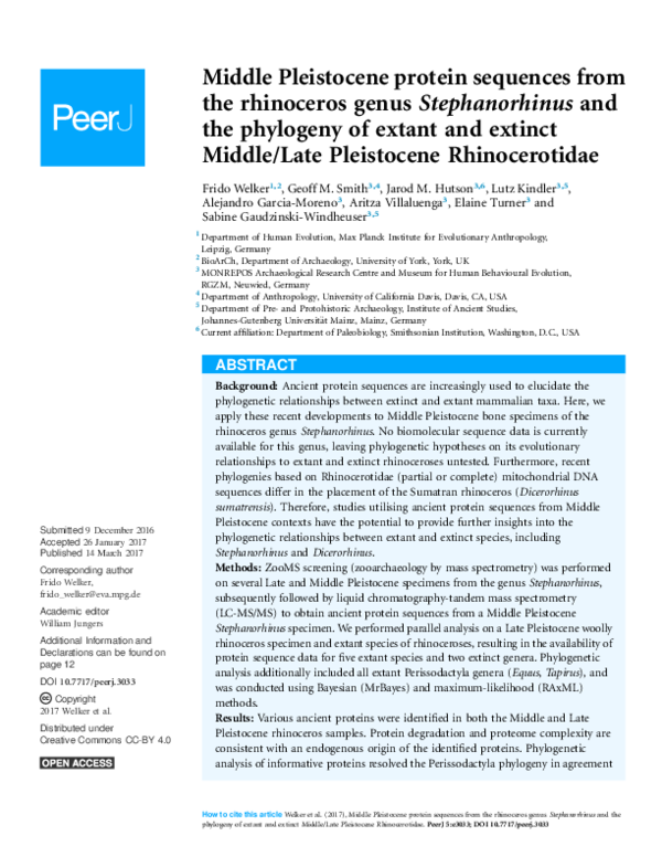 (PDF) Middle Pleistocene protein sequences from the rhinoceros ...