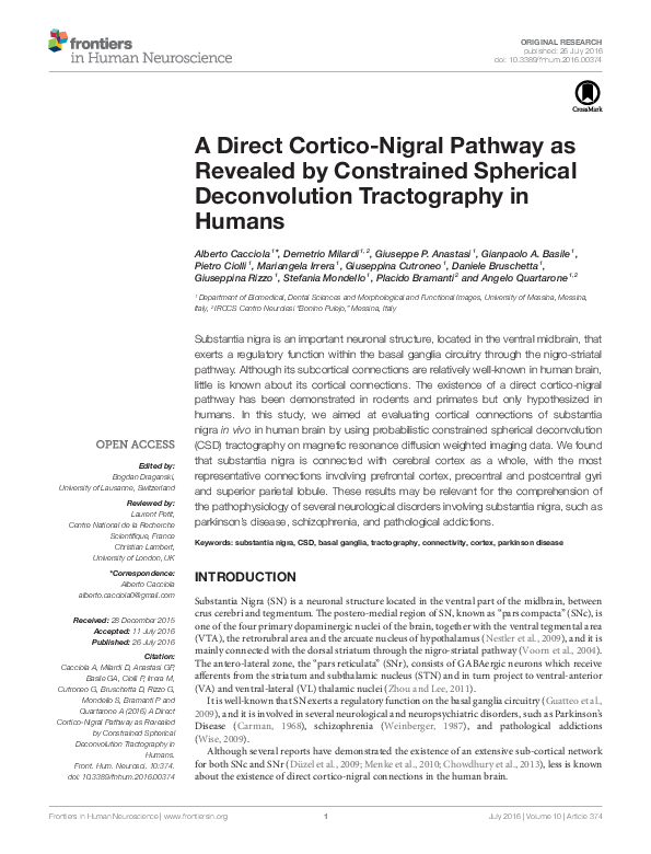 (PDF) A Direct Cortico-Nigral Pathway as Revealed by Constrained ...