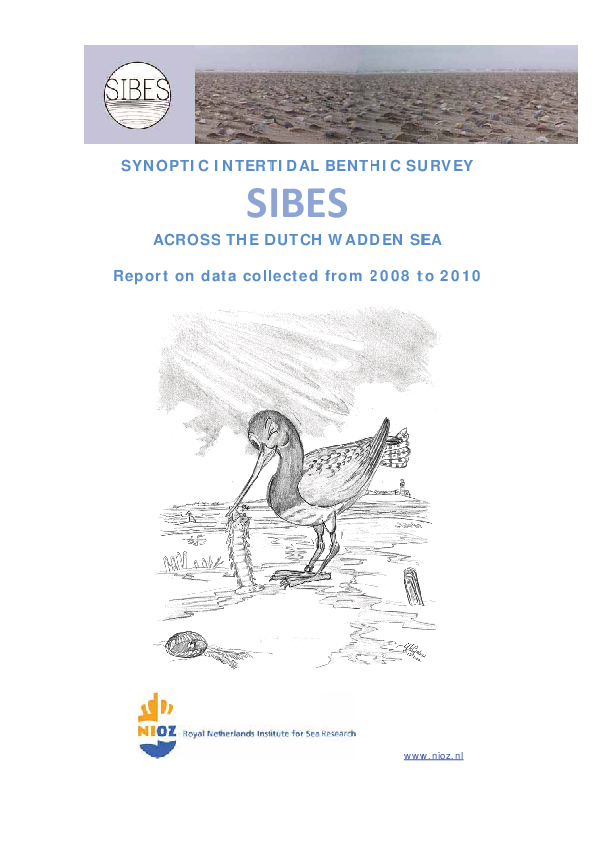(PDF) Synoptic Intertidal Benthic Survey SIBES across the Dutch Wadden ...
