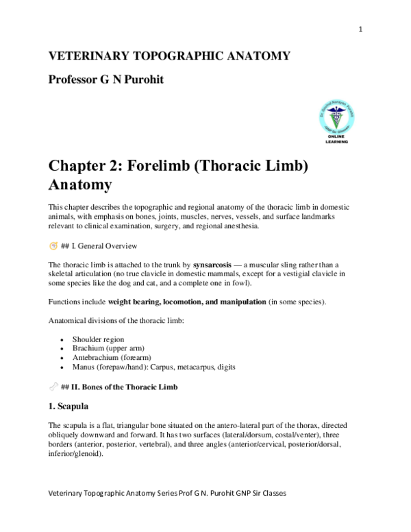(PDF) Topographic Vet Anatomy Chapter 2 The Thoracic limb