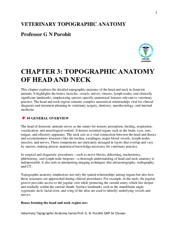(PDF) CHAPTER 3: TOPOGRAPHIC ANATOMY OF HEAD AND NECK