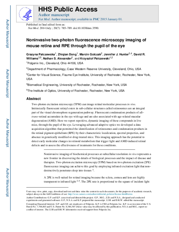 (PDF) Noninvasive two-photon microscopy imaging of mouse retina and ...