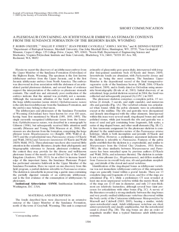 (PDF) A plesiosaur containing an ichthyosaur embryo as stomach contents ...