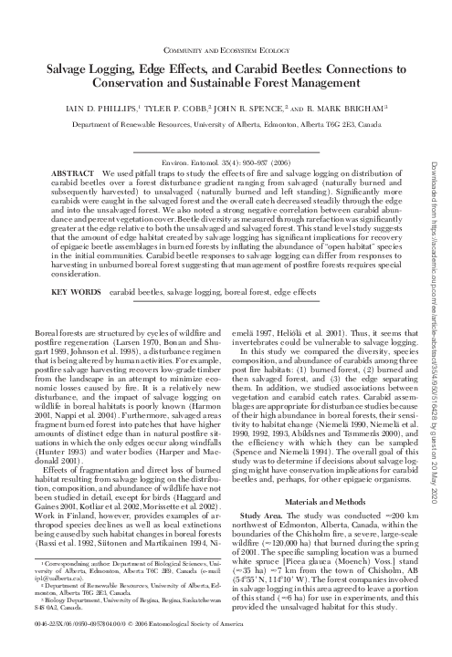 (PDF) Salvage Logging, Edge Effects, and Carabid Beetles: Connections ...