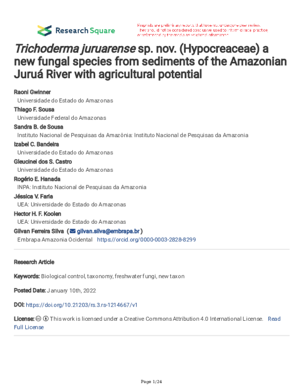 (PDF) Trichoderma juruarense sp. nov. (Hypocreaceae) a new fungal ...