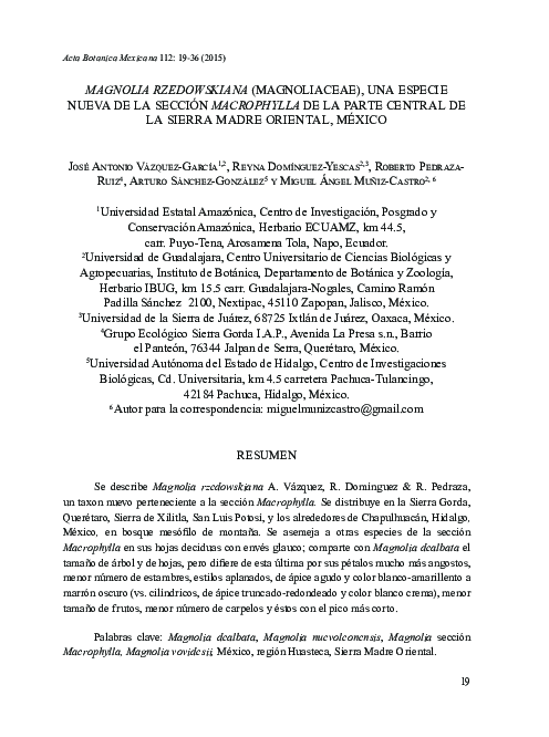 (PDF) Magnolia rzedowskiana (Magnoliaceae), una especie nueva de la ...