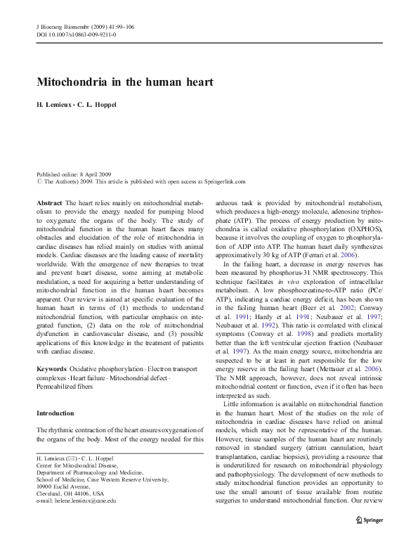 (PDF) Mitochondria in the human heart
