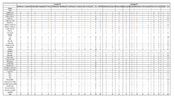 (PDF) Palaeolithic assemblages associated with Youngest Toba Tuff ...