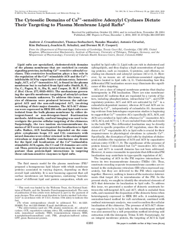 (PDF) The Cytosolic Domains of Ca2+-sensitive Adenylyl Cyclases Dictate ...