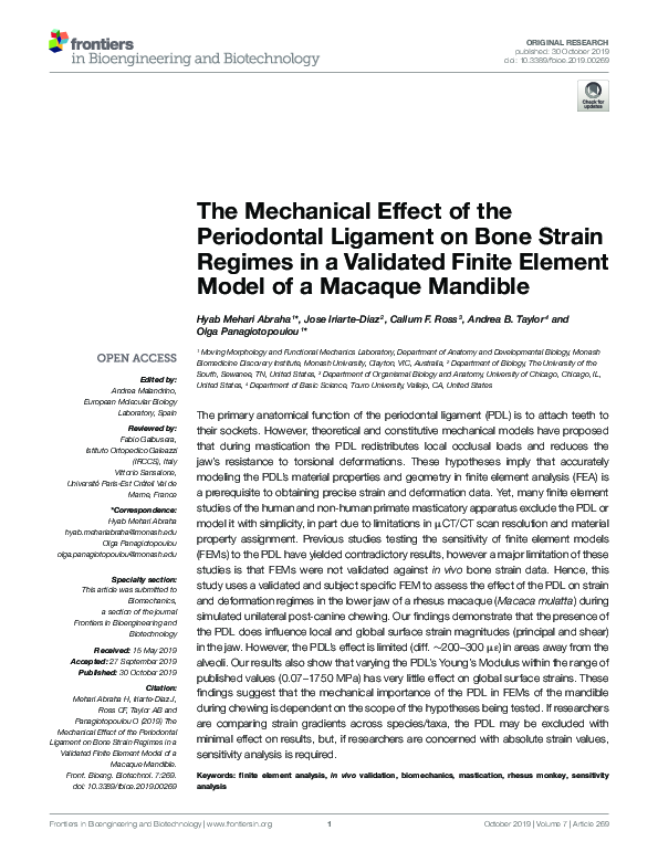 (PDF) The Mechanical Effect of the Periodontal Ligament on Bone Strain ...