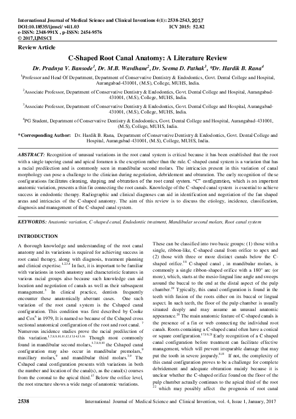 (PDF) C-Shaped Root Canal Anatomy: A Literature Review