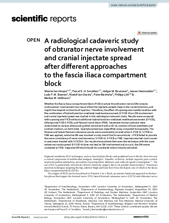 (PDF) A radiological cadaveric study of obturator nerve involvement and ...