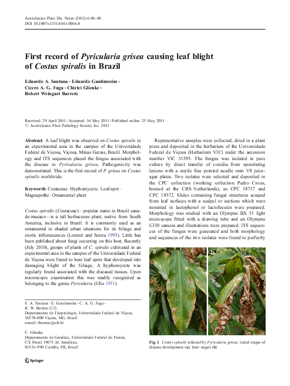 (PDF) First record of Pyricularia grisea causing leaf blight of Costus ...