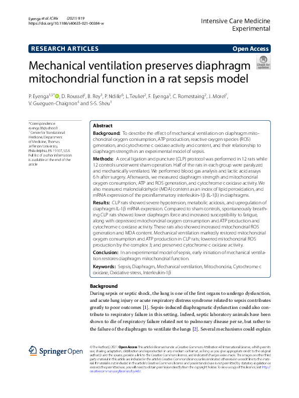 (PDF) Mechanical ventilation preserves diaphragm mitochondrial function ...
