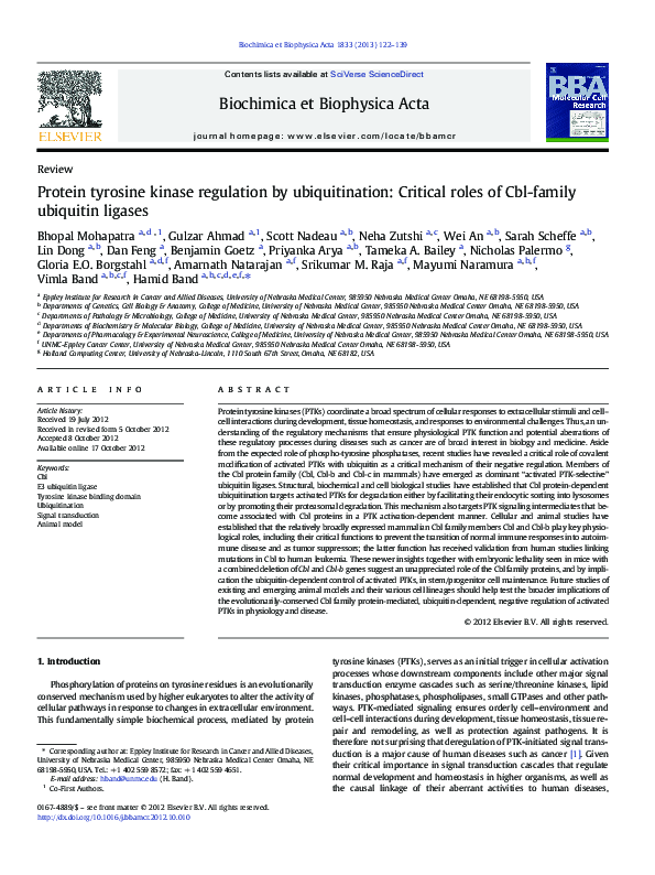 (PDF) RE SE EE DUB Proteasome Lysosome MVB / Late Endosome ESCRT ...