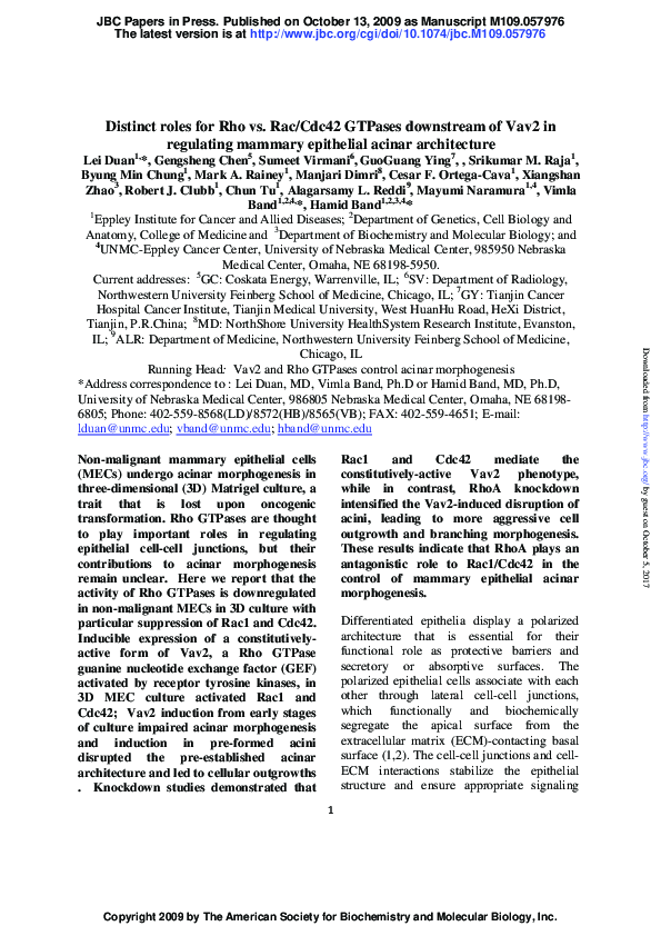 (PDF) Distinct Roles for Rho Versus Rac/Cdc42 GTPases Downstream of ...