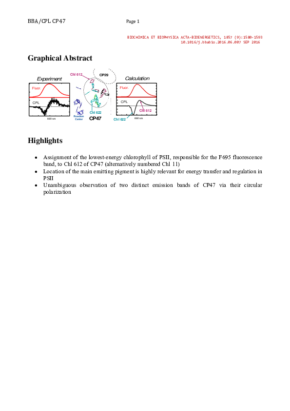 (PDF) The lowest-energy chlorophyll of photosystem II is adjacent to ...