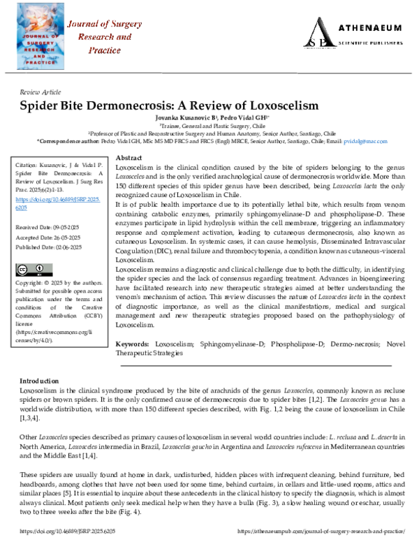 (PDF) Spider Bite Dermonecrosis: A Review of Loxoscelism