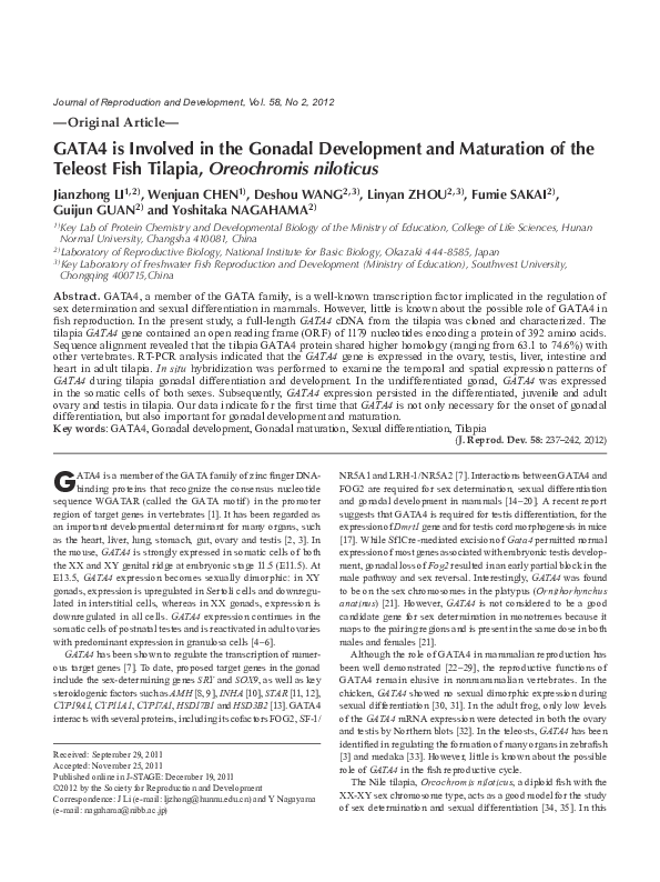 (PDF) GATA4 is Involved in the Gonadal Development and Maturation of ...