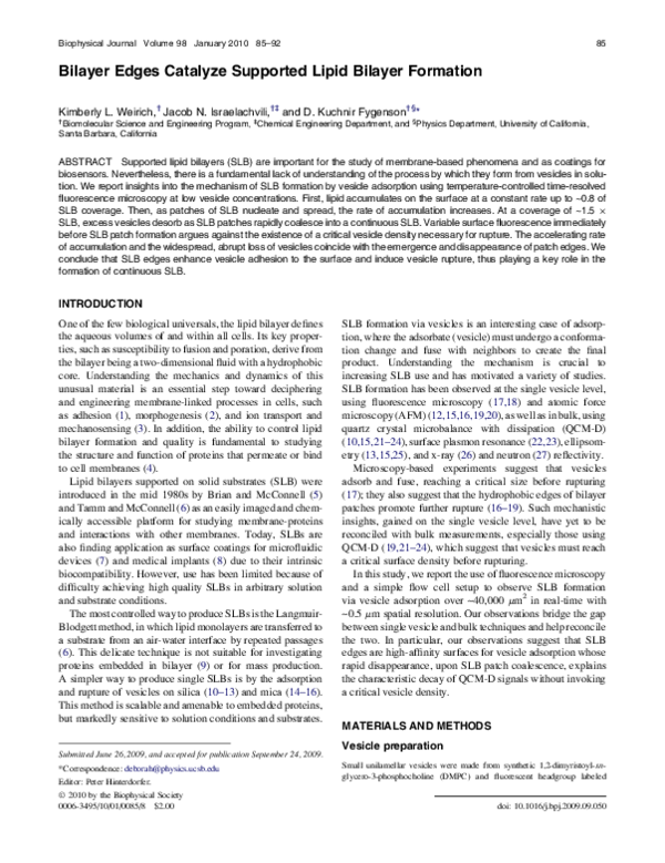 (PDF) Bilayer Edges Catalyze Supported Lipid Bilayer Formation