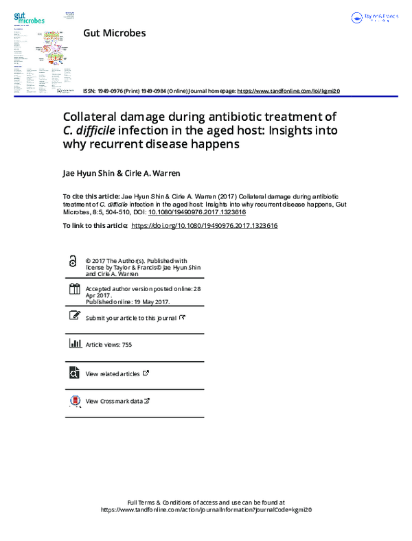(PDF) Collateral damage during antibiotic treatment ofC ...