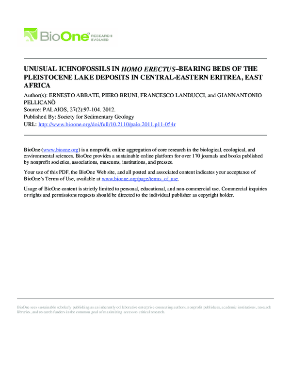 (PDF) Unusual Ichnofossils in Homo Erectus-Bearing Beds of the ...