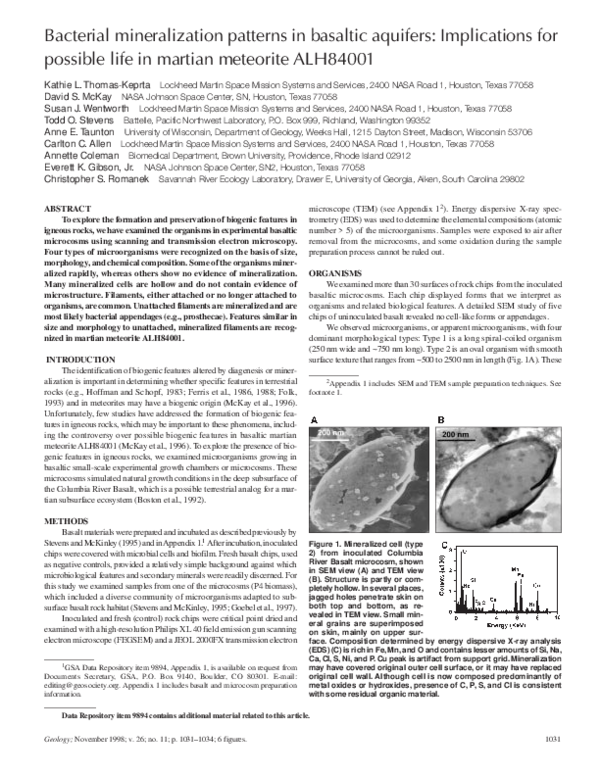(PDF) Bacterial mineralization patterns in basaltic aquifers ...