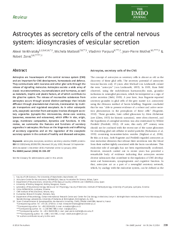 (PDF) Astrocytes as secretory cells of the central nervous system ...