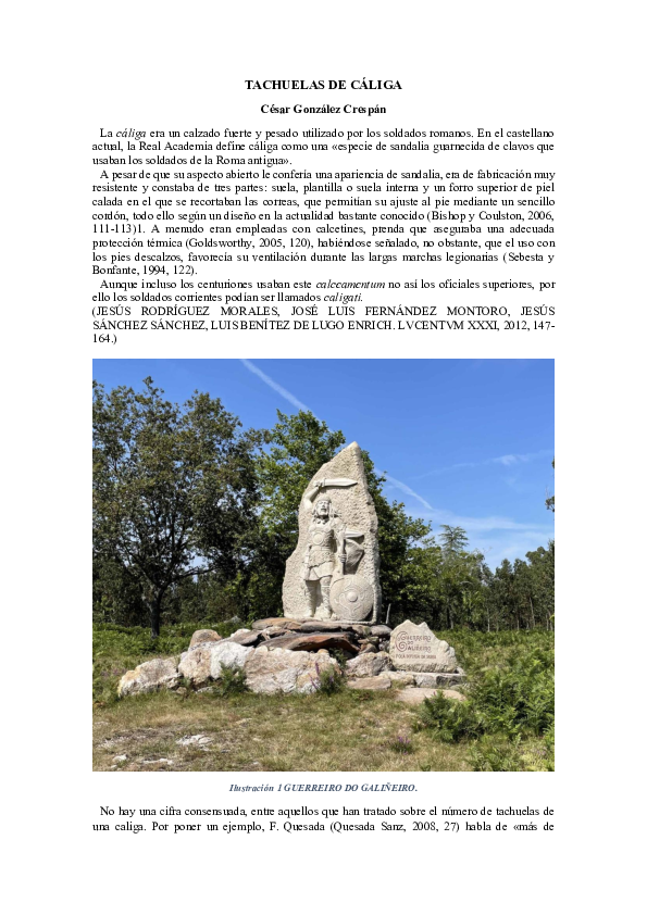 (PDF) TACHUELAS DE CÁLIGA
