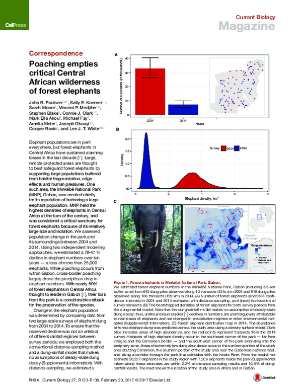 (PDF) Poaching empties critical Central African wilderness of forest ...