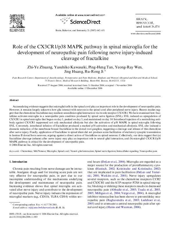 (PDF) Role of the CX3CR1/p38 MAPK pathway in spinal microglia for the ...