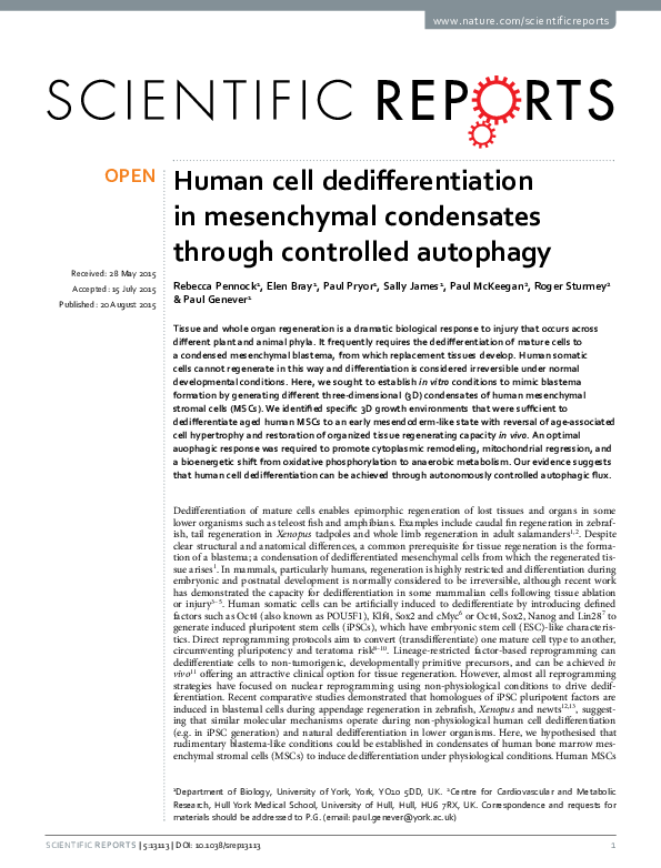 (PDF) Human cell dedifferentiation in mesenchymal condensates through ...