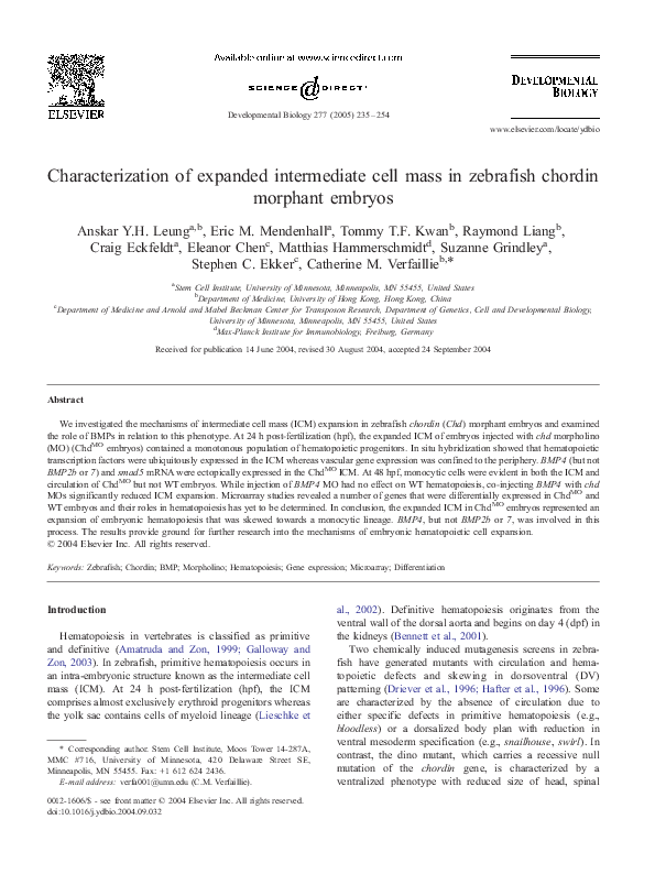 (PDF) Characterization of expanded intermediate cell mass in zebrafish ...