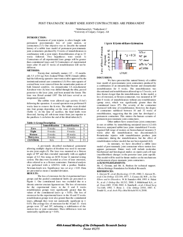 (PDF) Post-Traumatic Rabbit Knee Joint Contractures Are Permanent