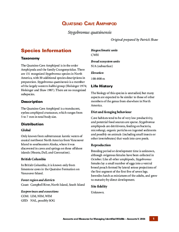 (PDF) Quatsino Cave Amphipod