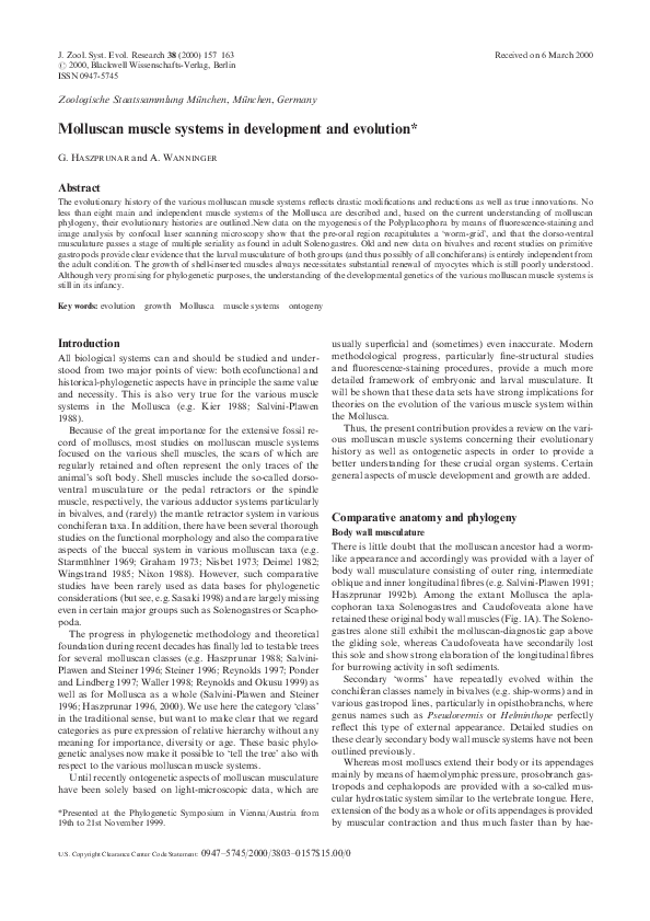 (PDF) Molluscan muscle systems in development and evolution*