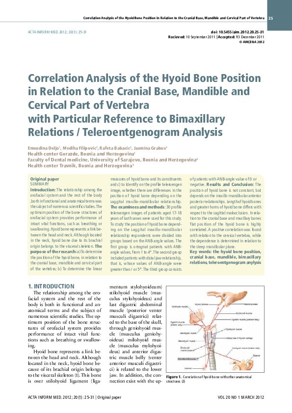 (PDF) Correlation Analysis of the Hyoid Bone Position in Relation to ...